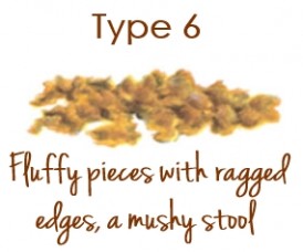 Probiotics: Your Gut’s Best Friends